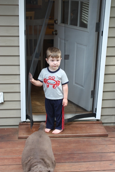 Bug Off—A Simple Screen Solution - Extreme How To