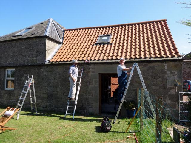 Rating Renovations: DIY Home Improvement for Resale Home Buyers ...