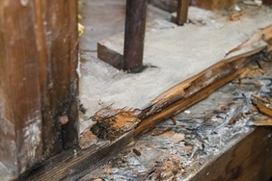 Repairing A Severely Rotted Subfloor - Extreme How To