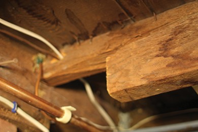 Fix & Replace Damaged Floor Joists - How to Sister a Joist