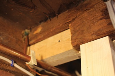 Fix & Replace Damaged Floor Joists - How to Sister a Joist