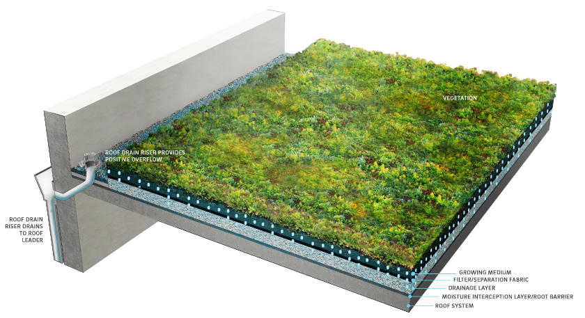 Create a Green Roof - Extreme How To