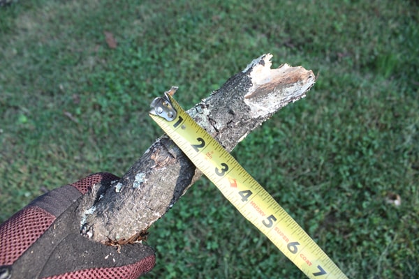 Yardmax YW7565 Chipper Shredder - Extreme How To