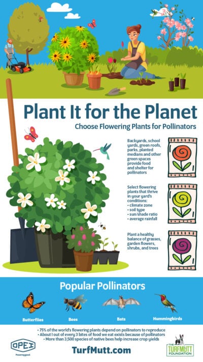 Plant It for the Planet - Extreme How To