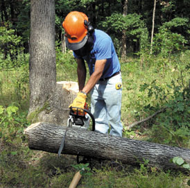 Chainsaws 101 - Extreme How To